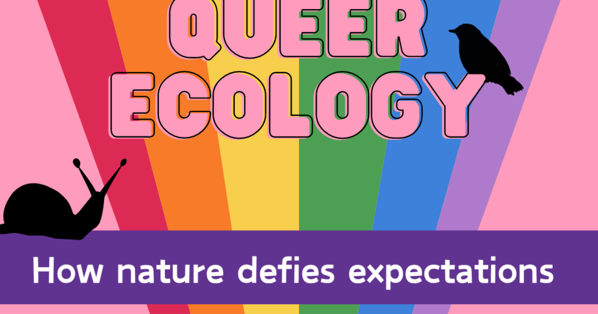 Nantucket Current | Current Nature: Queer Ecology