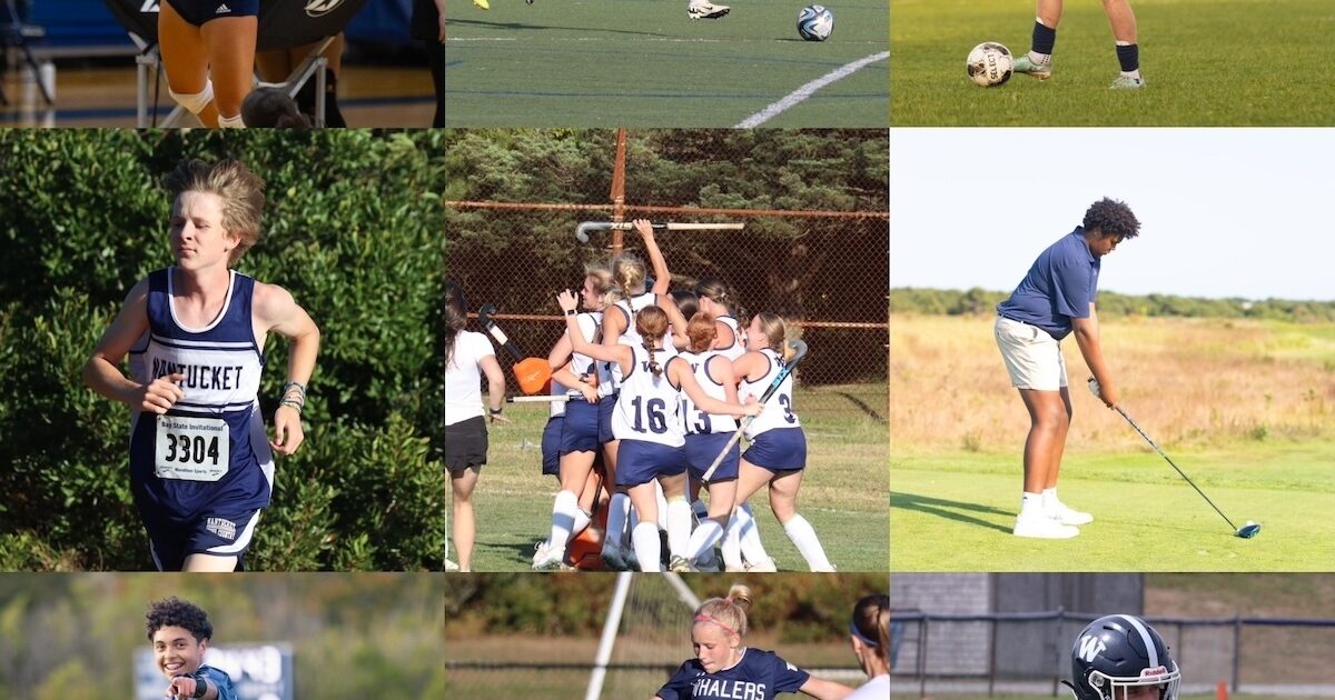 Nantucket Current | Cape & Island League All Stars Announced