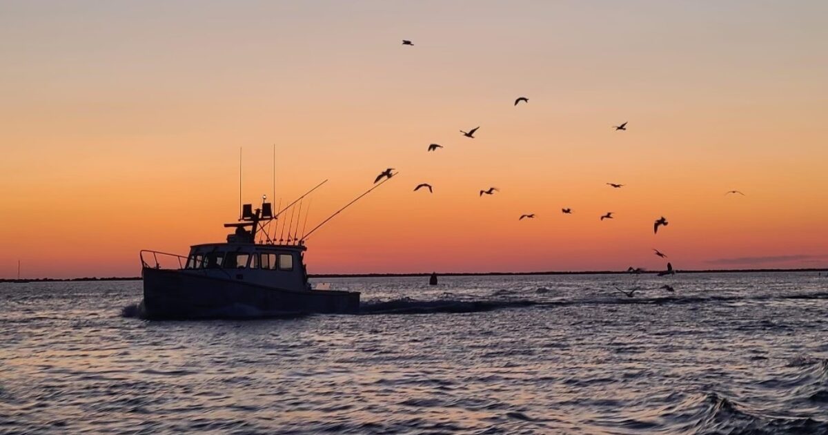 Nantucket Current | Current Waters: Strawberry Moon