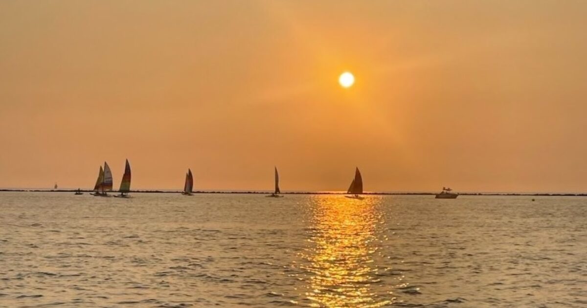 Nantucket Current | Current Waters: Rules Of The Road