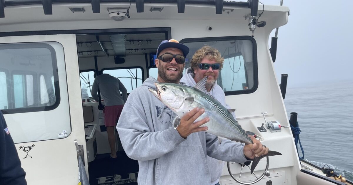 Nantucket Current | Current Waters: What To Fish For As The Season…