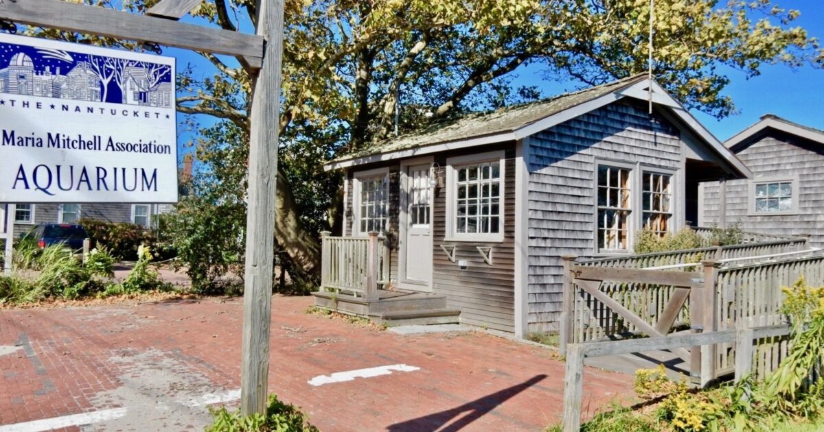 Nantucket Current | Maria Mitchell Association Announces Campaign To…