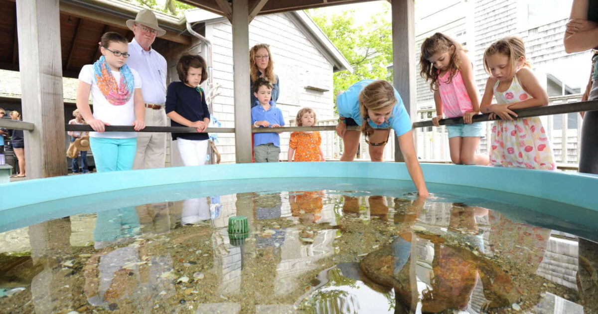 Nantucket Current | Maria Mitchell Finds New Home For Aquarium On…