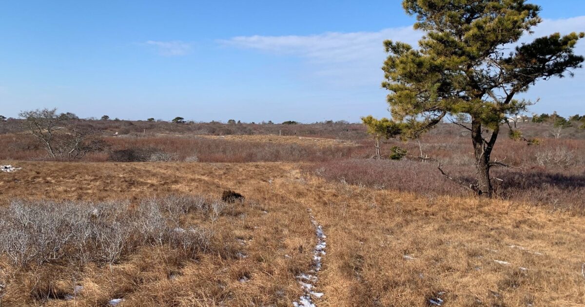 Nantucket Current | Current Nature: Adventure Awaits Outdoors