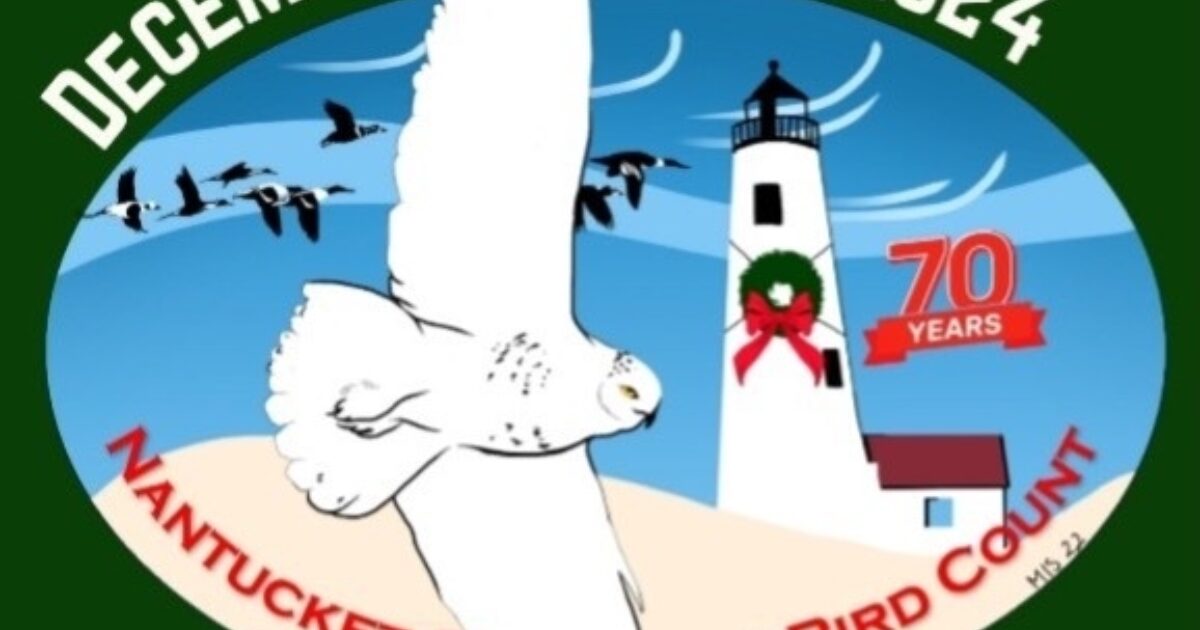 Nantucket Current | Current Nature: Nantucket’s Christmas Bird Count…