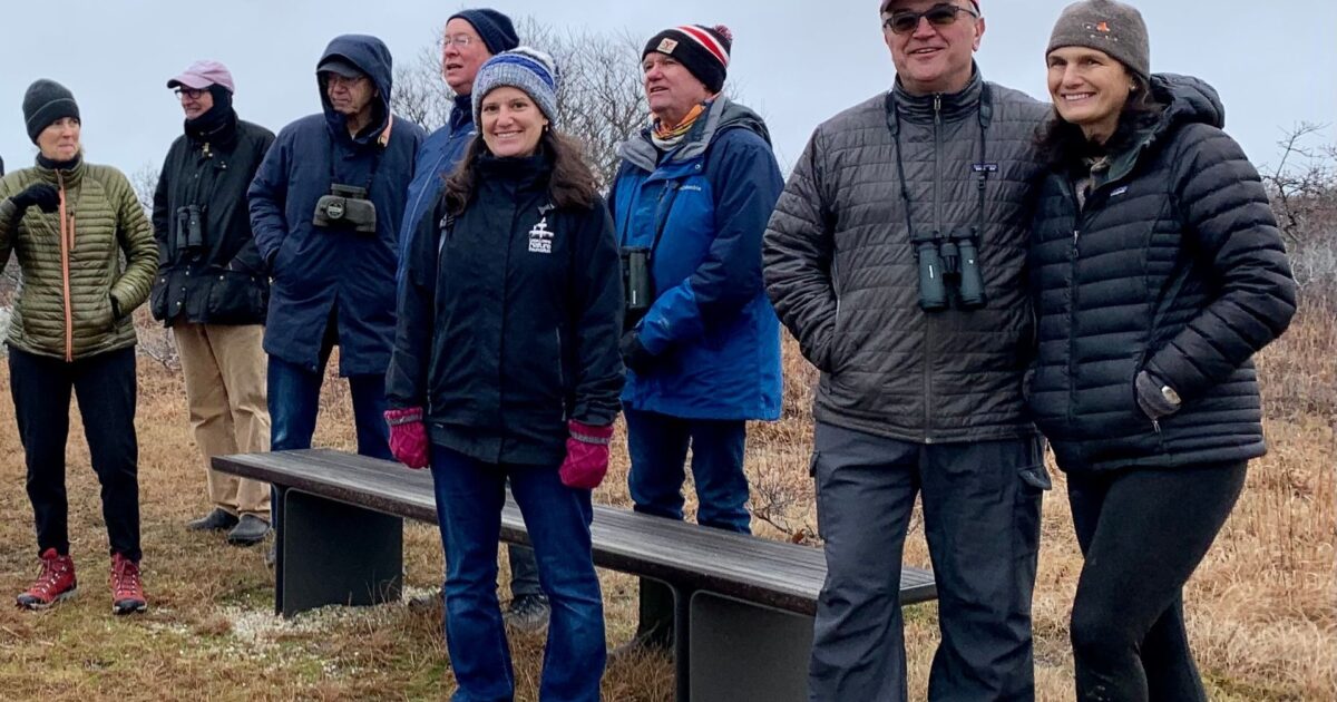 Nantucket Current | Current Nature: Winter Exploration On Nantucket