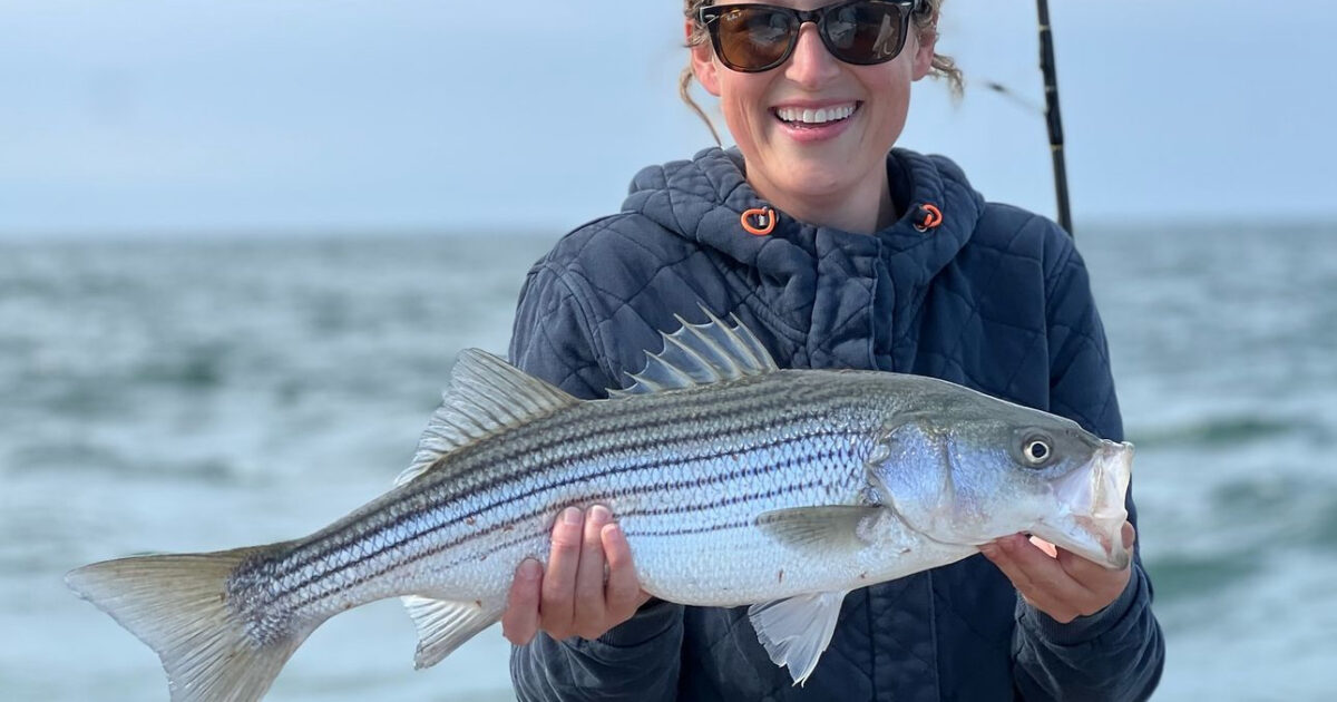 Nantucket Current | Current Waters: The Way Of Shinkei-Jime And…