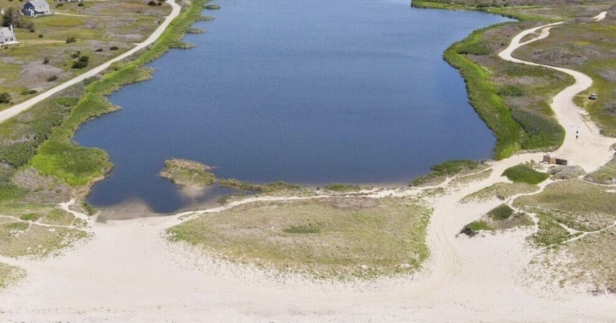 Nantucket Current | Town Receives $1 Million Grant For Miacomet Pond…
