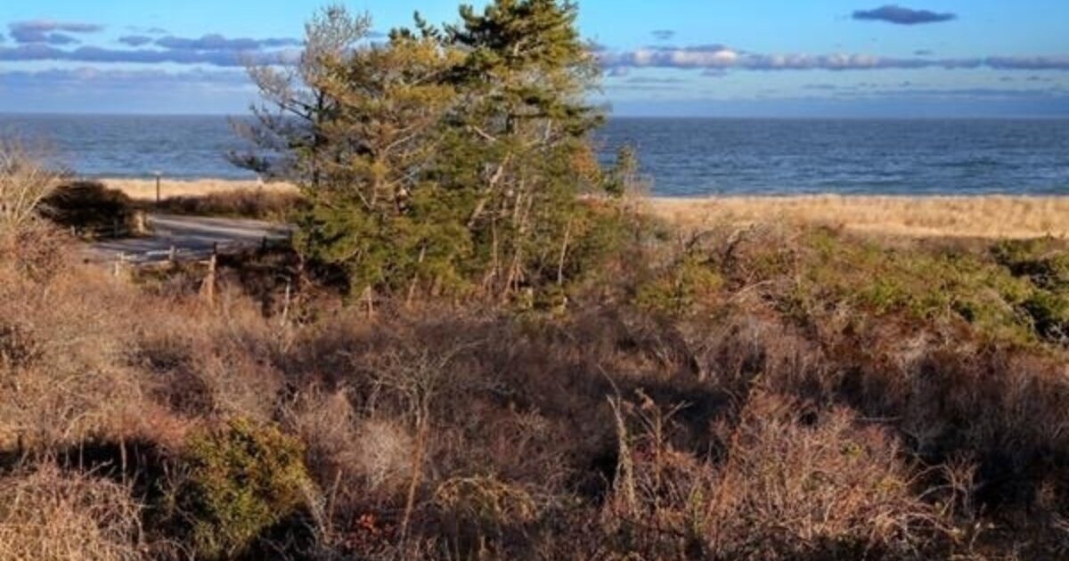 Nantucket Current | Sconset Trust Buys 3.2 Acre Property At Sconset…