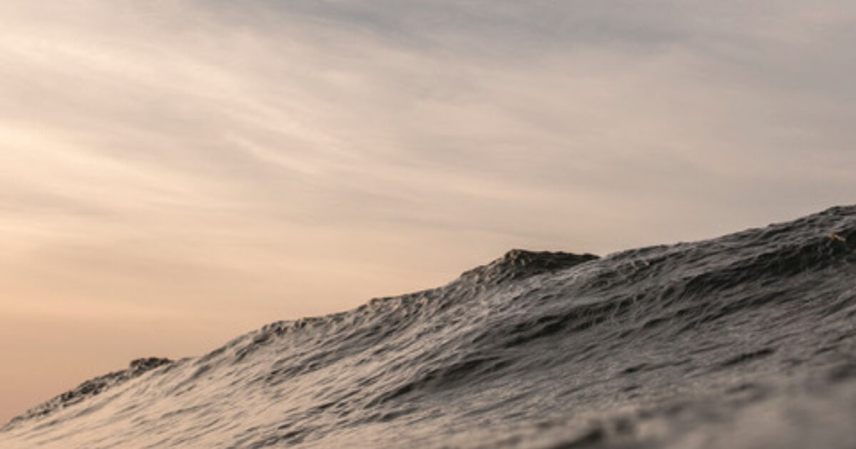 Nantucket Current | Artists Association Announces Hale Juried…