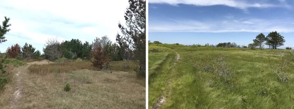 Nantucket Current | Current Nature: Visualizing Five Years Of Habitat…