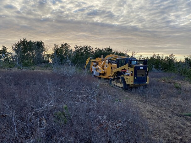 Nantucket Current | Current Nature: Visualizing Five Years Of Habitat…