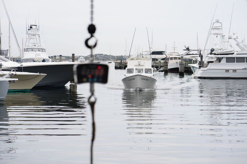 Nantucket Current | Photo Gallery: The 13th Bluefin Blast Tuna…