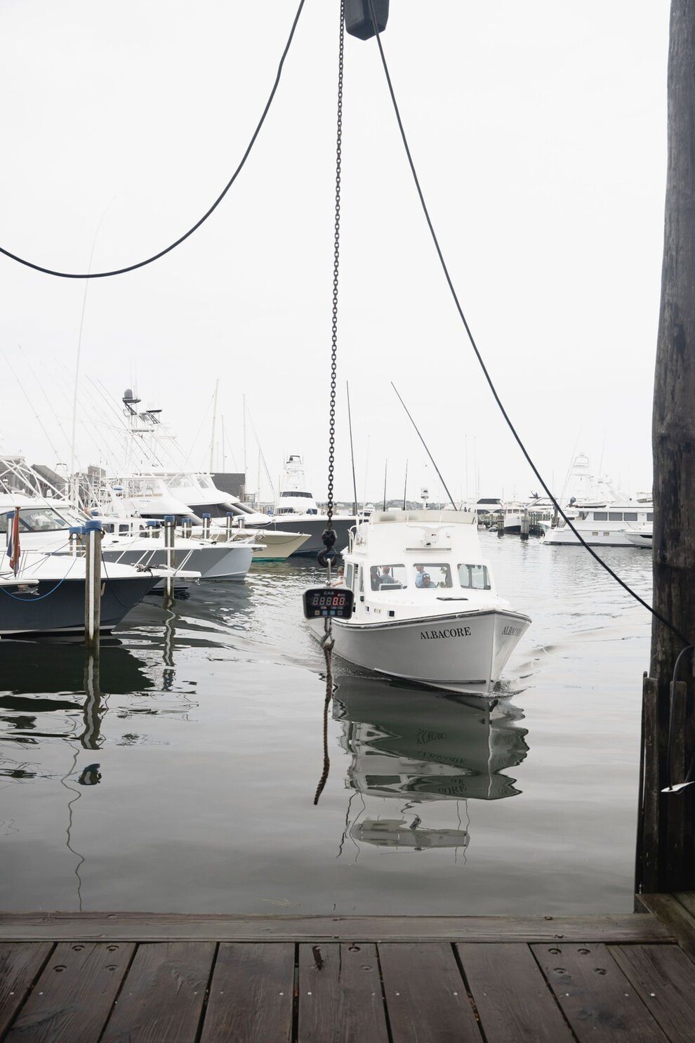 Nantucket Current | Photo Gallery: The 13th Bluefin Blast Tuna…