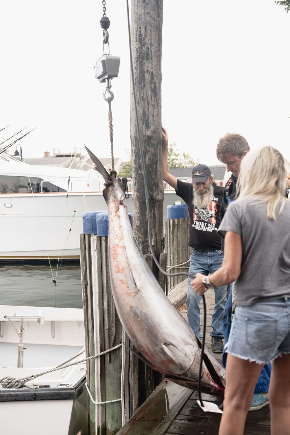 Nantucket Current | Photo Gallery: The 13th Bluefin Blast Tuna…