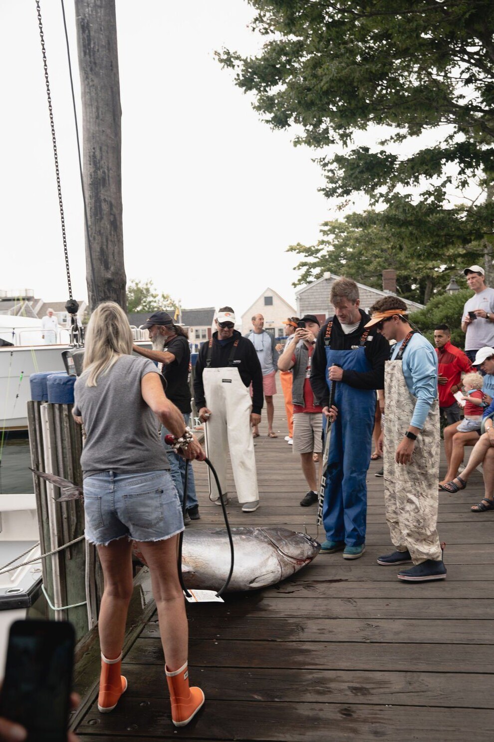 Nantucket Current | Photo Gallery: The 13th Bluefin Blast Tuna…