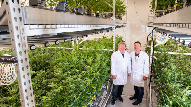 Nantucket Current | ACK Natural Cannabis Dispensary Reopens After…