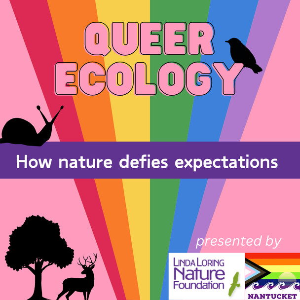 Nantucket Current | Current Nature: Queer Ecology