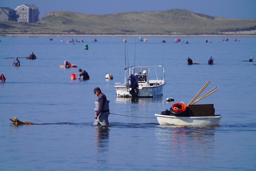 Nantucket Current | Nantucket's Family Scalloping Season Gets Underway
