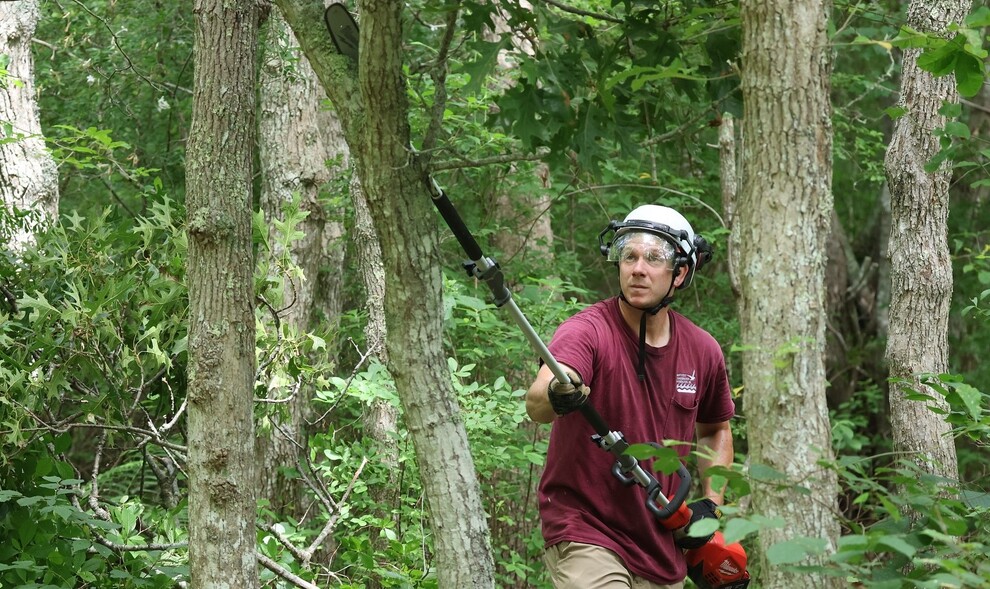 Nantucket Current | Conservation Foundation Launches New Forest…