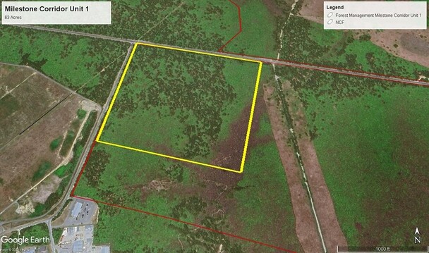 Nantucket Current | Conservation Foundation Launches New Forest…