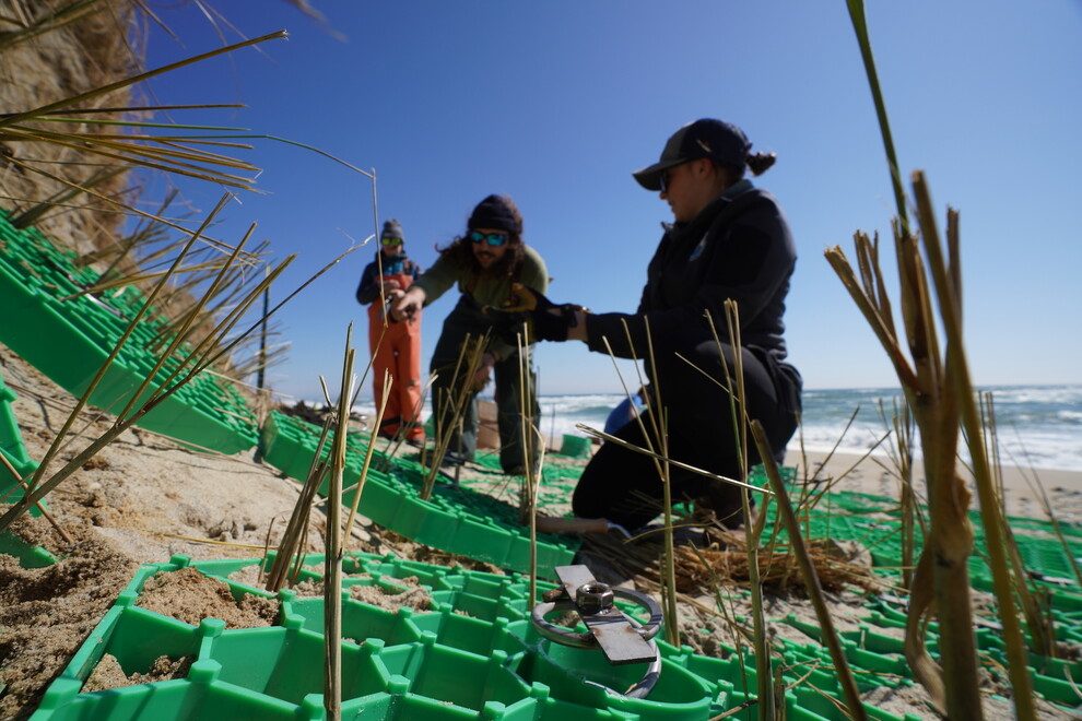 Nantucket Current | Town Testing New "Cliff Stabilizers" To Combat…