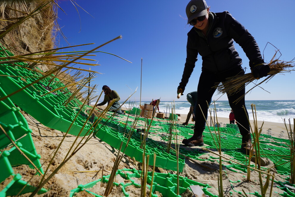 Nantucket Current | Town Testing New "Cliff Stabilizers" To Combat…