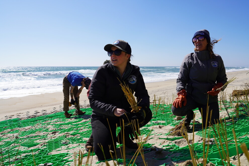 Nantucket Current | Town Testing New "Cliff Stabilizers" To Combat…