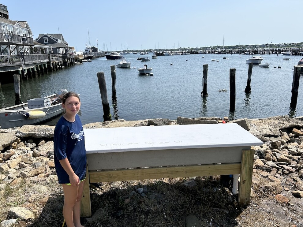 Nantucket Current | Carley Ray Becomes First Nantucket Girl Scout To…