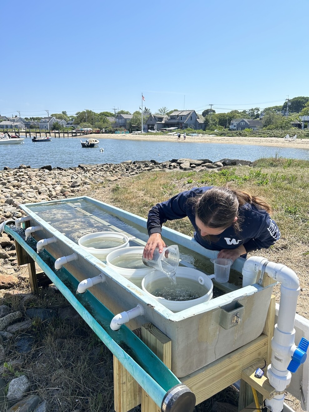 Nantucket Current | Carley Ray Becomes First Nantucket Girl Scout To…