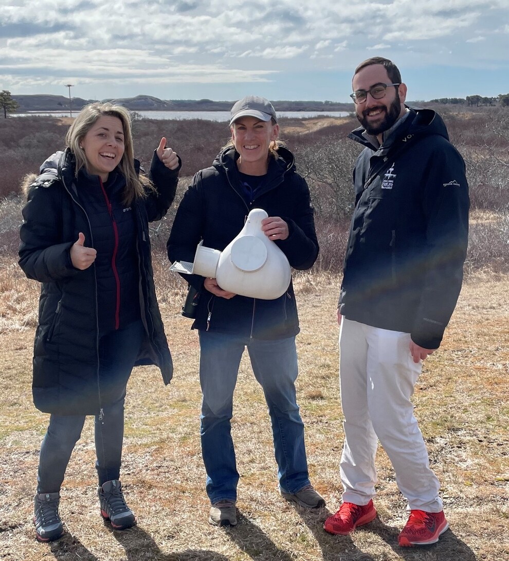 Nantucket Current | Current Nature: New Species for Nantucket - Give…