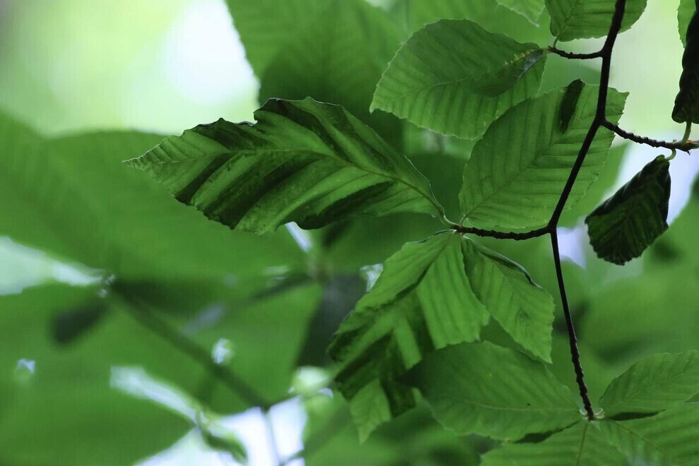 Russian xxxxxxxx the situation appeared all a bit