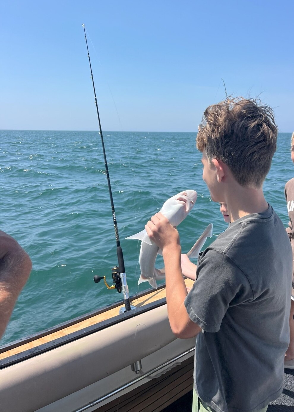 Nantucket Current | Current Waters: The Dog(fish) Days Of Summer