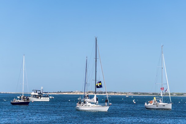 Nantucket Current | Photo Gallery: Figawi Race 2023