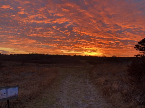 Nantucket Current | Current Nature: The Wicked W-ACK-Y Island Weather