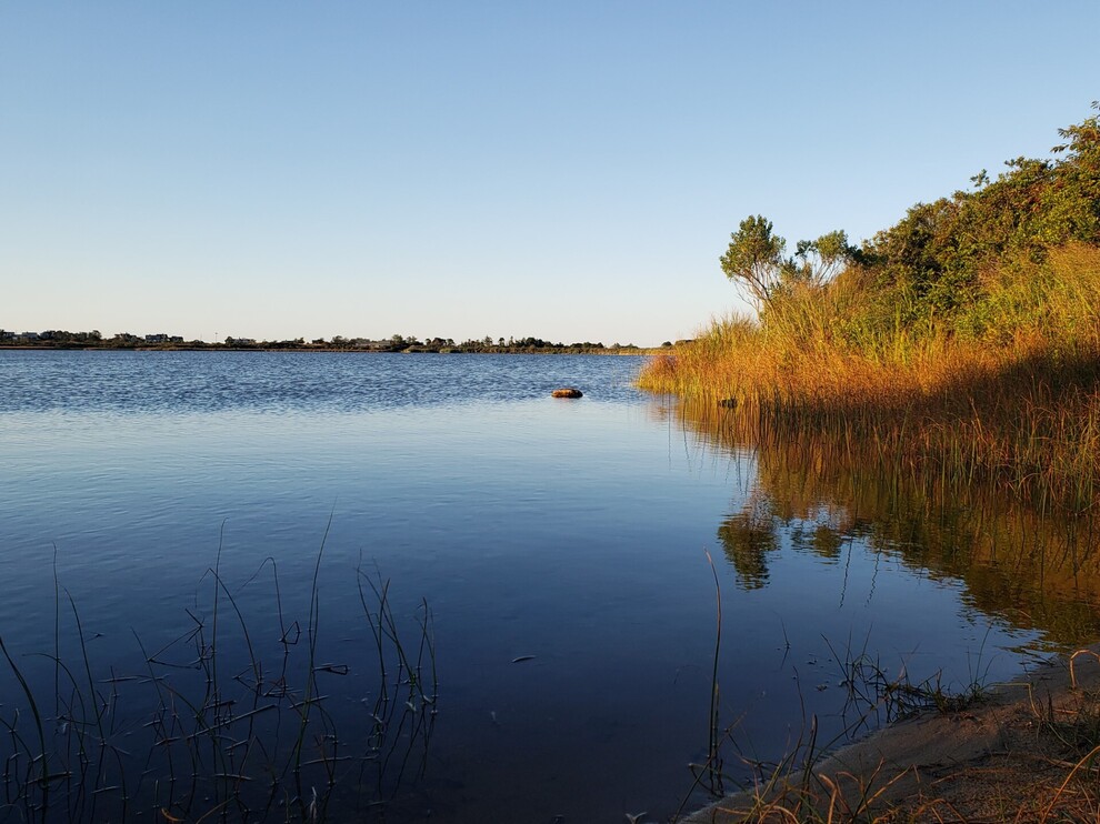 Nantucket Current | Current Nature: Green Water: HAB You Seen Any?
